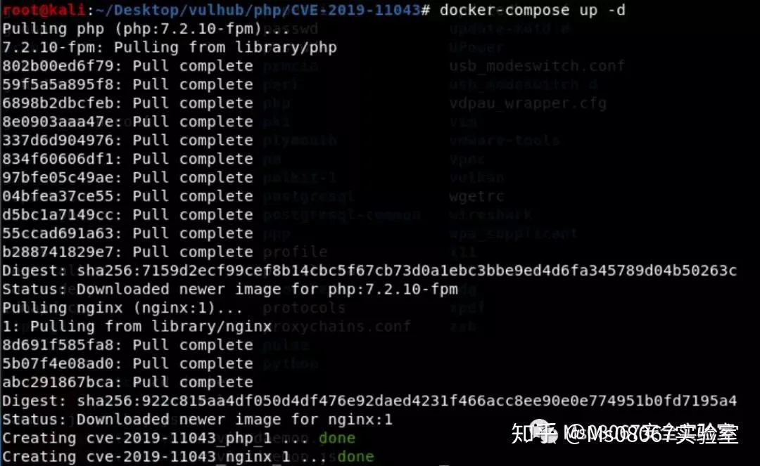 Php远程代码执行漏洞复现（cve 2019 11043）【反弹shell成功】 Golang教程网
